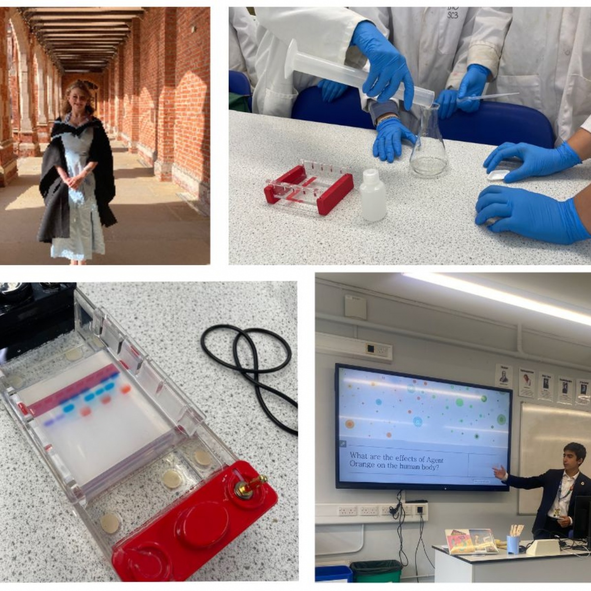 Tonbridge Grammar School - Biology Week; visits from an NHS ...